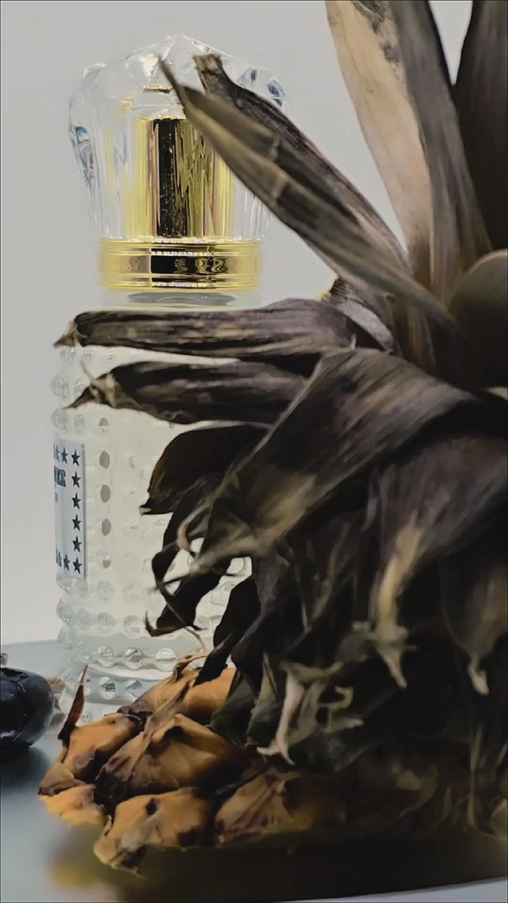 Jasmin/Musk/Pineapple/Bergamot Vintage Mens Cologne | Liquid Silver